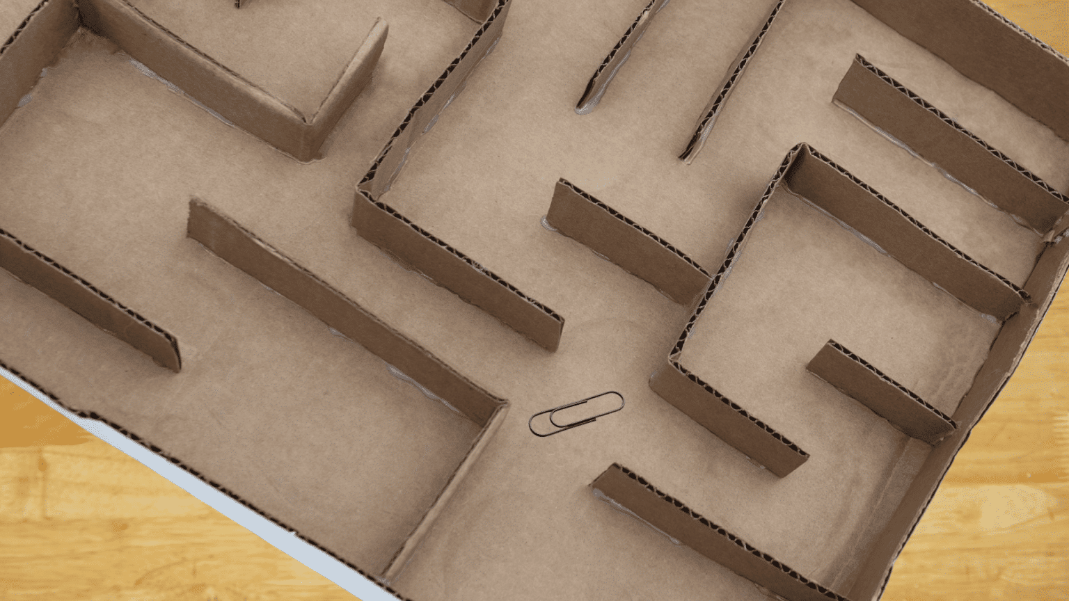 24 STEM Activities for Middle School: Simple & Fun - Freddy The Frogcaster